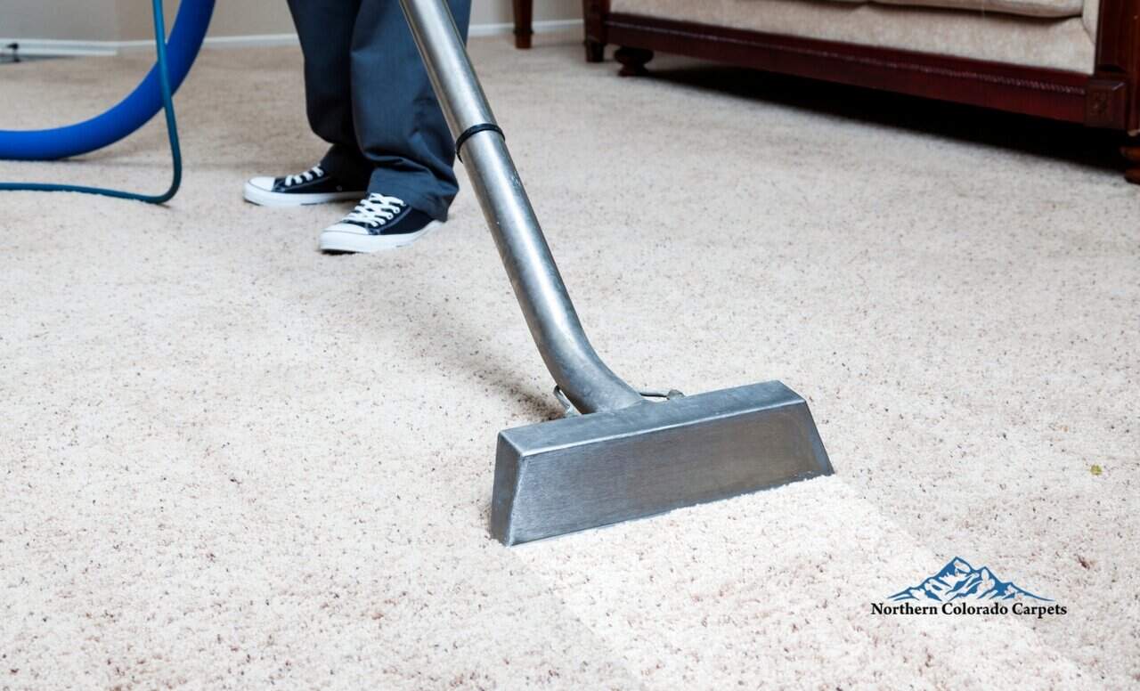 Carpet Care 101: Pro Flooring Contractor Tips